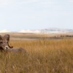 Private 6 Hours Badlands National Park E-Bike Activity - Why Choose the Badlands E-Bike Tour?
