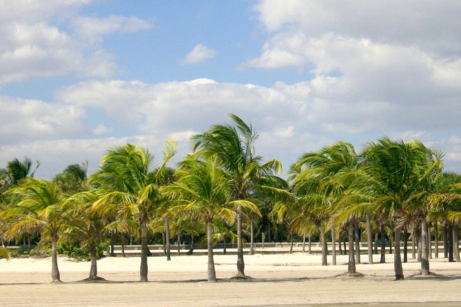 Private 8-hour City Tour of Miami with private driver/guide with hotel pick up - The Tour Overview: What to Expect in Miami