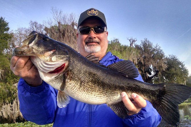 Private 8-hour Lake Toho Fishing Charter Near Kissimmee - Setting the Scene: What to Expect on Your Day