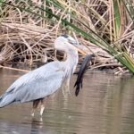 Private 90 Minutes Everglades Airboat Adventure - Who is this tour best suited for?