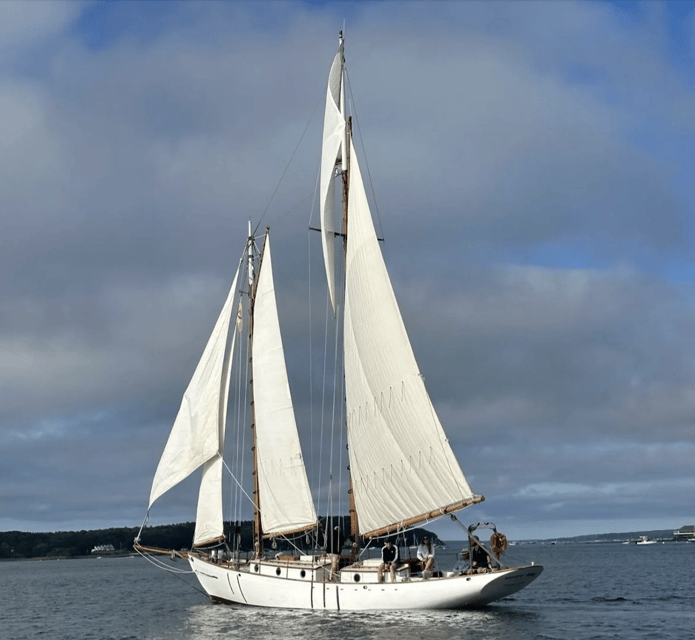 Private Afternoon Charter on Heart's Desire in Casco Bay - An In-Depth Look at the Experience