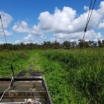 Private Airboat Swamp Tour - Who Should Book This Tour?