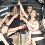 Private Airport Arrival Transportation in Luxury Party Bus (15 Passengers Max.) - Practical Details and Considerations