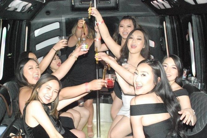 Private Airport Arrival Transportation in Luxury Party Bus (15 Passengers Max.) - Practical Details and Considerations