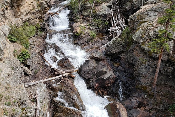 Private and Personalized Three Hour Morning Tour of Rocky Mountain National Park - A Closer Look at the Itinerary