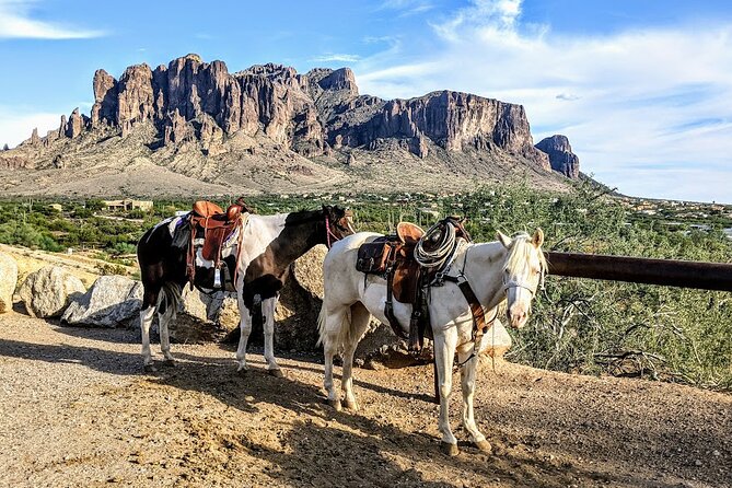 Private Apache Trail Tour with Canyon Lake Cruise - Who Is This Tour Best For?