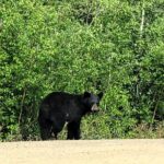 Private Arctic Circle Expedition from Fairbanks - Why This Tour Offers Great Value