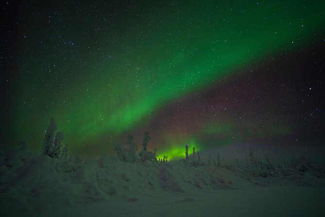 Private Arctic Circle Expedition from Fairbanks - Practical Tips for Booking & Enjoying the Tour