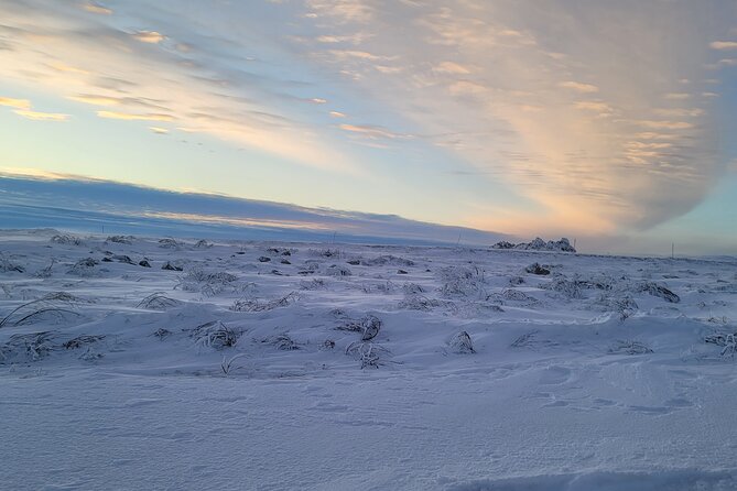 Private Arctic Circle Expedition from Fairbanks - Who Is This Tour Best For?