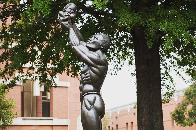 Private Atlanta History Tour From Civil War to Civil Rights - Who Will Love This Tour?