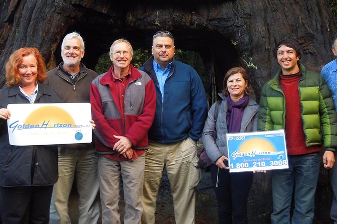 Private Avenue of the Giants Redwoods Day Trip from San Francisco - Authentic Traveler Insights
