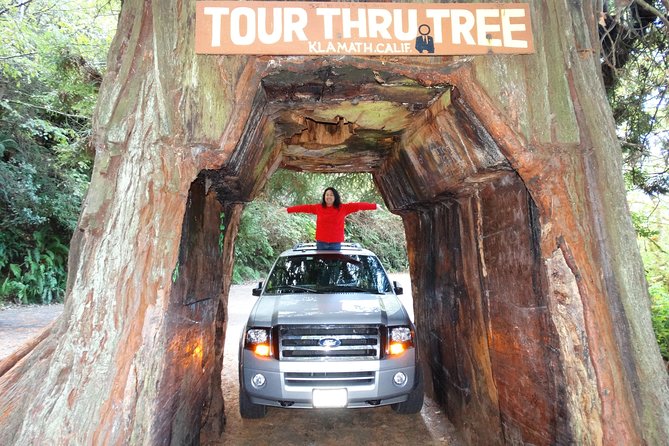Private Avenue of the Giants Redwoods Day Trip from San Francisco - The Sum Up: Who Is This Tour Best For?