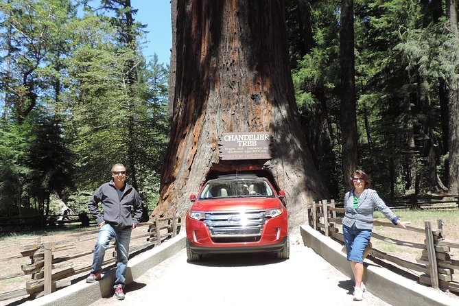 Private Avenue of the Giants Redwoods Day Trip from San Francisco - FAQ