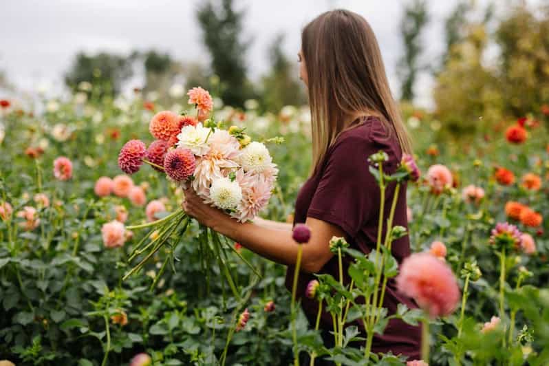 Private Bainbridge Island Discovery and Wine Tour - What to Expect from Your Bainbridge Island Adventure