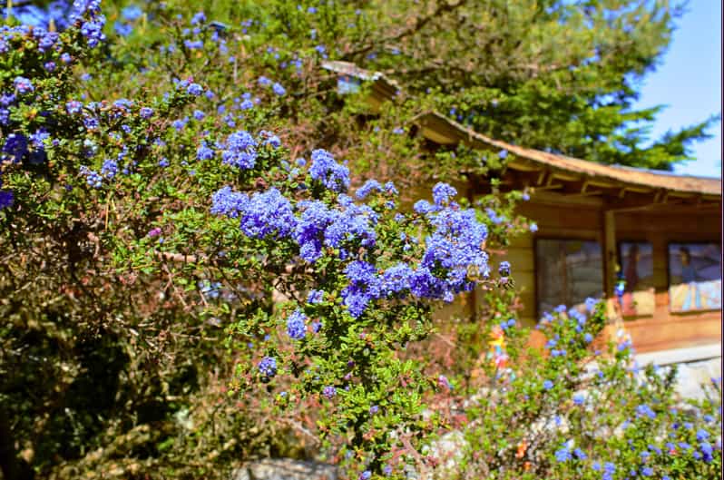 Private Bainbridge Island Discovery Tour - What to Expect on the Tour