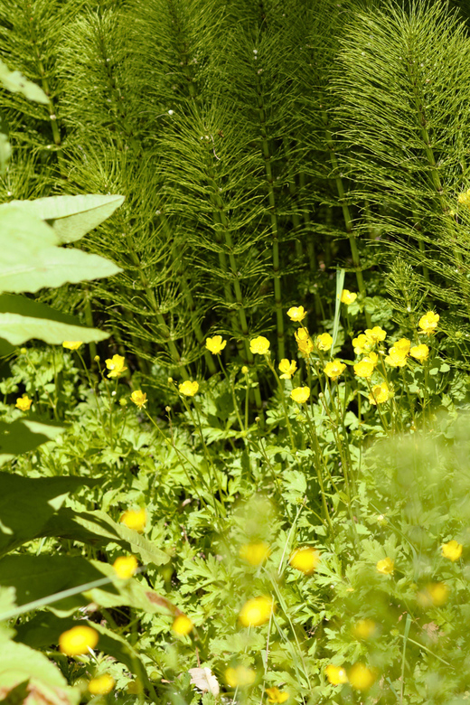 Private Bainbridge Island Discovery Tour - Is This Tour Worth It?