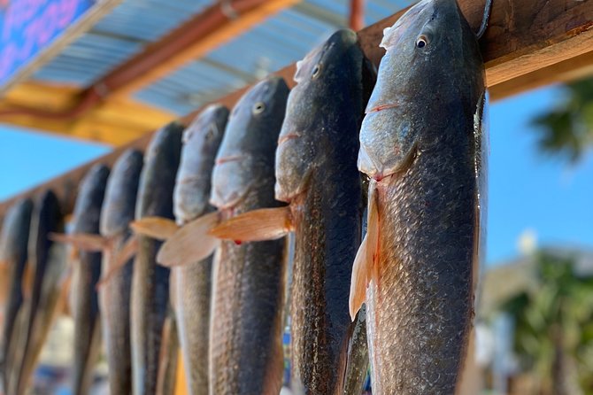 Private Bay Fishing South Padre Island - Key Points