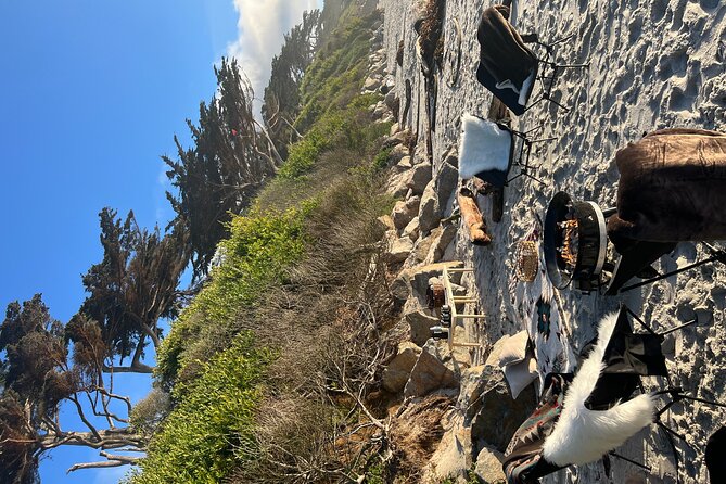 Private Beach Bonfire in Carmel-by-the-Sea - A Detailed Look at the Carmel Beach Bonfire Experience