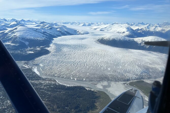 Private Bear Viewing By Seaplane - Final Thoughts