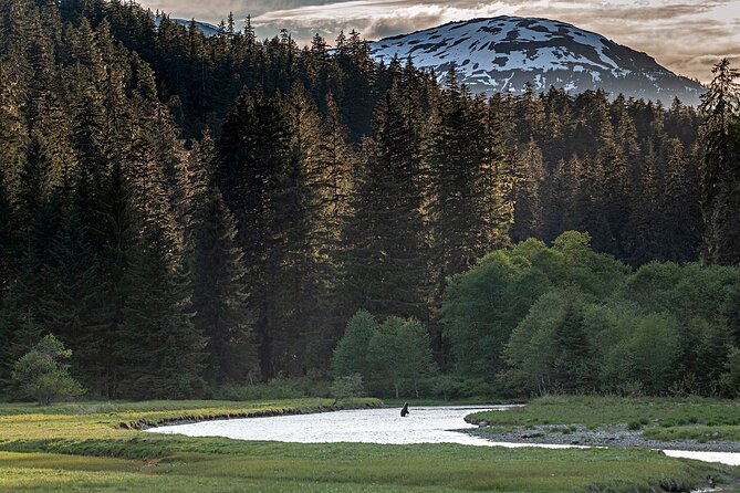 Private Bear Viewing By Seaplane - FAQ