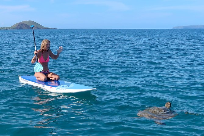 Private Beginner Paddleboard 101 Lesson: Polo Beach, Turtle Town - What’s Included and What to Consider