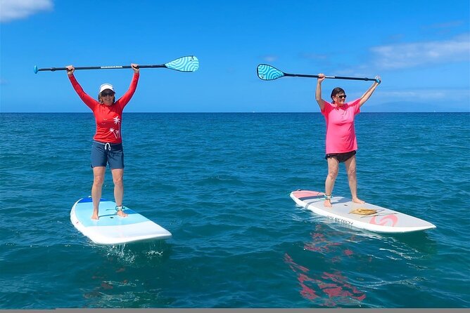 Private Beginner Paddleboard 101 Lesson: Polo Beach, Turtle Town - Who Should Consider This Tour?