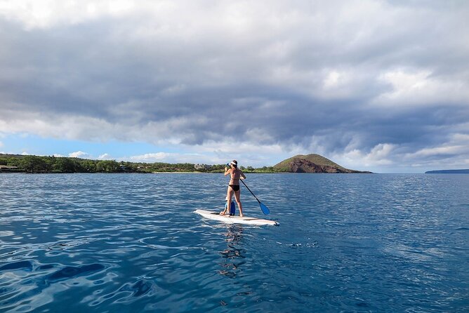Private Beginner Paddleboard 101 Lesson: Polo Beach, Turtle Town - The Sum Up