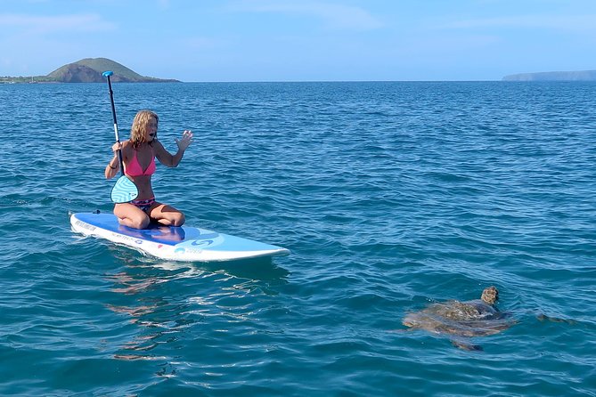 Private Beginner Paddleboard Lesson with Snorkel in Turtle Town - A Deep Dive into the Experience