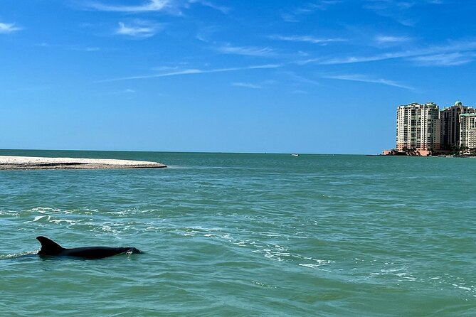 Private Best of Marco Island Dolphin Tour - Final Thoughts