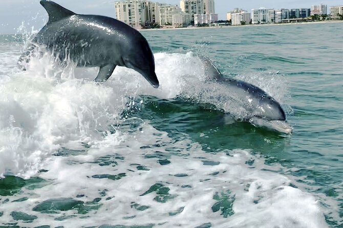 Private Best of Marco Island Dolphin Tour - FAQ