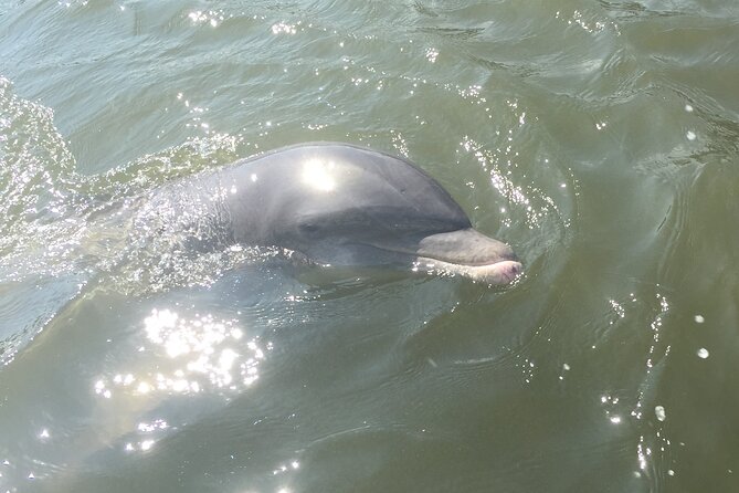 Private Best of Marco Island Tour - What’s Included & What’s Not