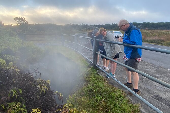 Private Big Island Customizable 14 person Tour/Chauffeur Service - The Sum Up: Why Choose This Private Big Island Tour?
