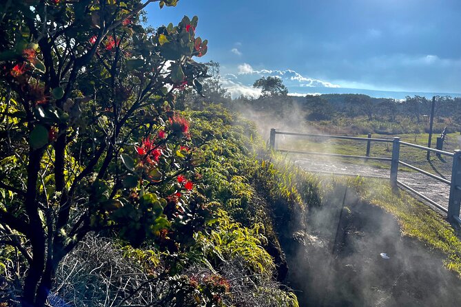Private Big Island Tour: Coffee, Beaches, Volcanos, Waterfalls - Discovering the Black Sand at Punaluu Beach