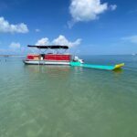 Private Boat Charter to Johns Pass, Shell Key and Egmont Key - Why This Tour Represents Good Value