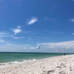 Private Boat Charters in Saint James - What to Expect During Your Day