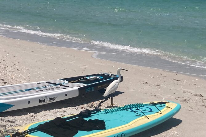 Private Boat Charters in Saint James - FAQ