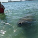 Private Boat Day Tour In Sarasota - Who Will Enjoy This Tour?