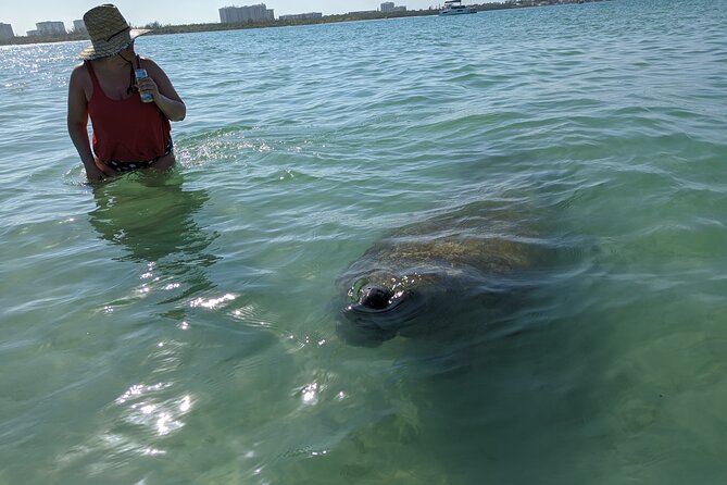 Private Boat Day Tour In Sarasota - Who Will Enjoy This Tour?
