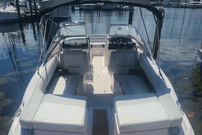 Private Boat: Island Cruise and Dolphins - The Value of a Private Boat Tour in Tampa Bay