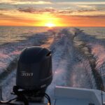 Private boat offering dolphin watching, island excursions and nature tours - The Experience in Detail