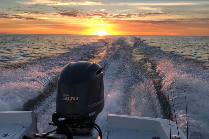 Private boat offering dolphin watching, island excursions and nature tours - The Experience in Detail