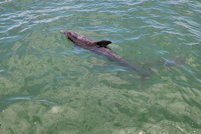 Private Boat Tour up to 12 People Fort Myers Beach and Sanibel - Value for Money