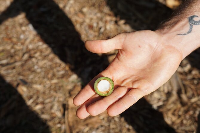 Private Botanical Garden Experience in the Heart of Maui - Key Points
