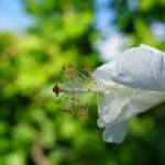 Private Botanical Garden Experience in the Heart of Maui - Practical Details and Value