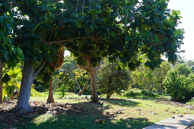Private Botanical Garden Experience in the Heart of Maui - FAQs