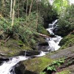 Private Boutique Blue Ridge Parkway Full Day Tour - Why This Tour Offers Great Value
