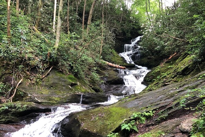 Private Boutique Blue Ridge Parkway Full Day Tour - Why This Tour Offers Great Value