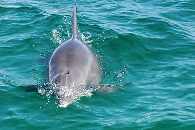 Private Captained Pontoon to Crab Island in Destin 3,4,5, or 6 Hr - Frequently Asked Questions