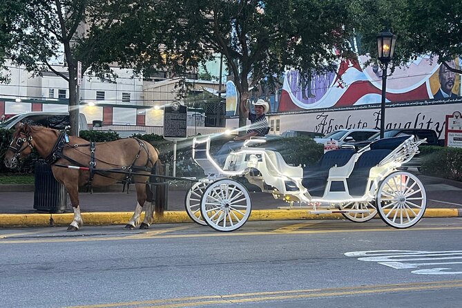 Private Carriage Tour of Galveston - Who Should Book This Tour?