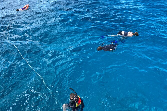 Private Catamaran Cruise and Snorkeling Tour in Honolulu - The Sum Up